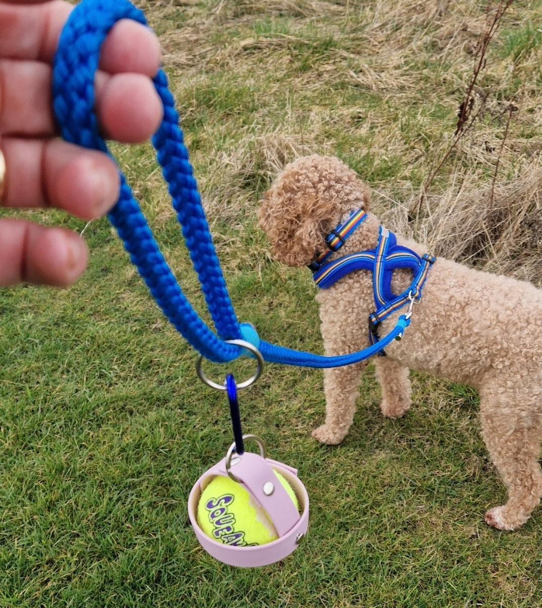 Ball Holder - Various Colours Available – Ernie & Theo