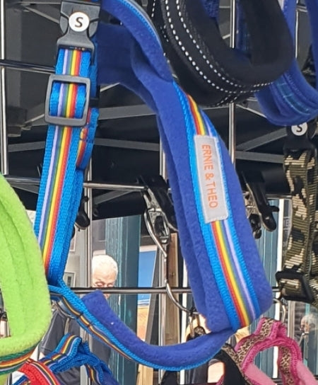 Ralph Rainbow Harness - Choice of Colours – Ernie & Theo